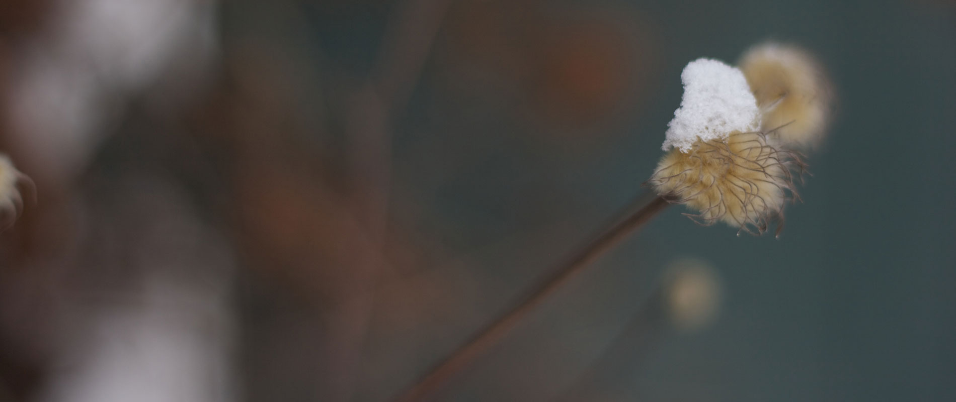 Sample Post – engineering @ easy2